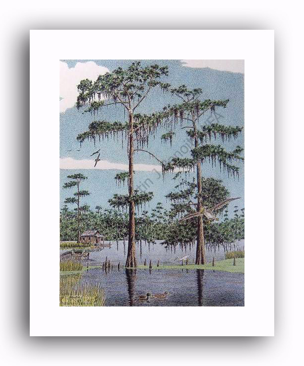Benoit LOUISIANA INK ART - SWAMP